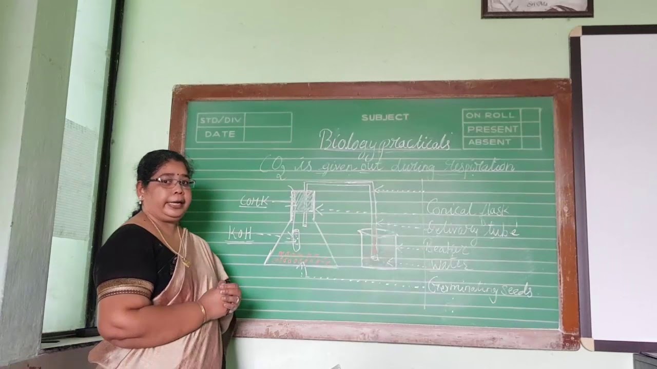 Class_10_biology_Practical -1_2 Nov - YouTube