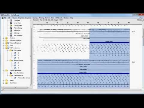 DNASTAR - Modifying the Genetic Code Used for Translation in SeqBuilder ...