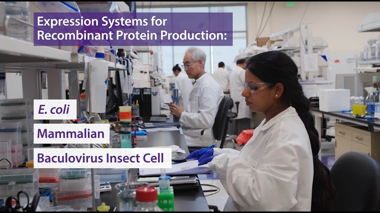 BioLegend Recombinant Proteins - YouTube