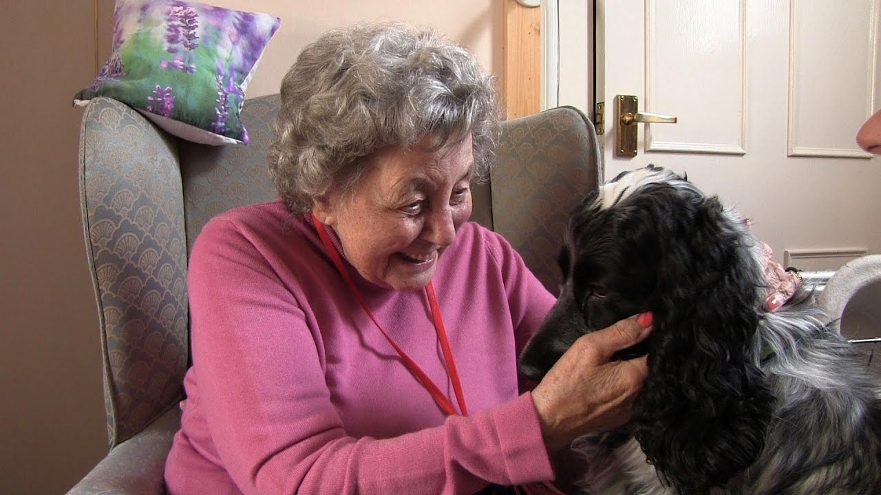 Westergate House - Cinnamon Trust Pet Friendly Awards 2013: Care Homes ...