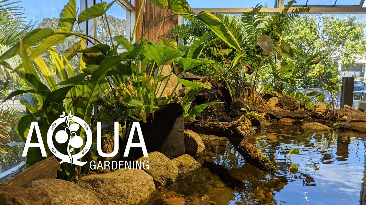 Aqua Gardening - Here to help you bring your garden dreams to life ...