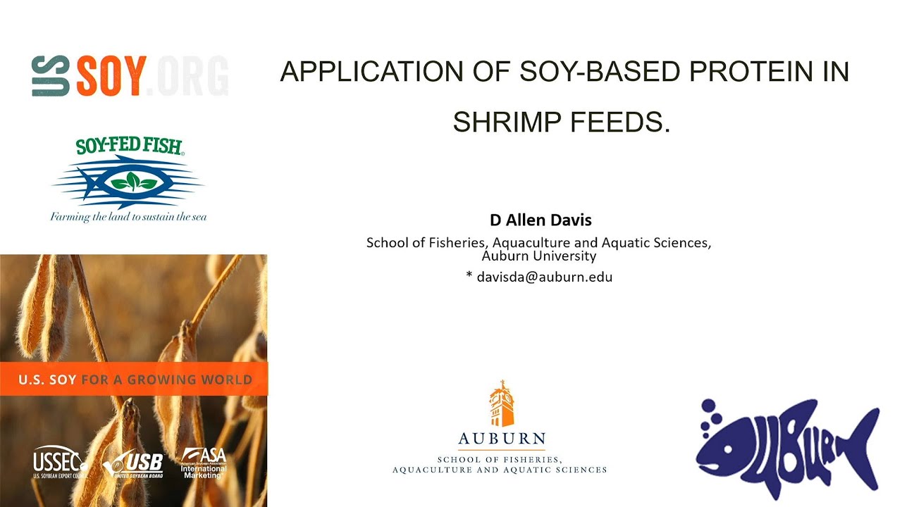 Application Of Soy-Based Protein In Shrimp Feeds. - YouTube