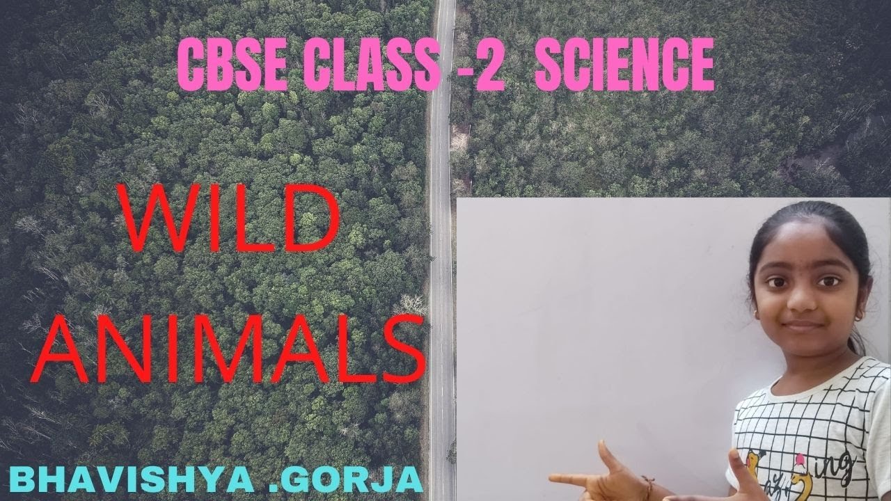 Wild Animals | Class 2 EVS: Wild Animals | Wild animal for kids ...