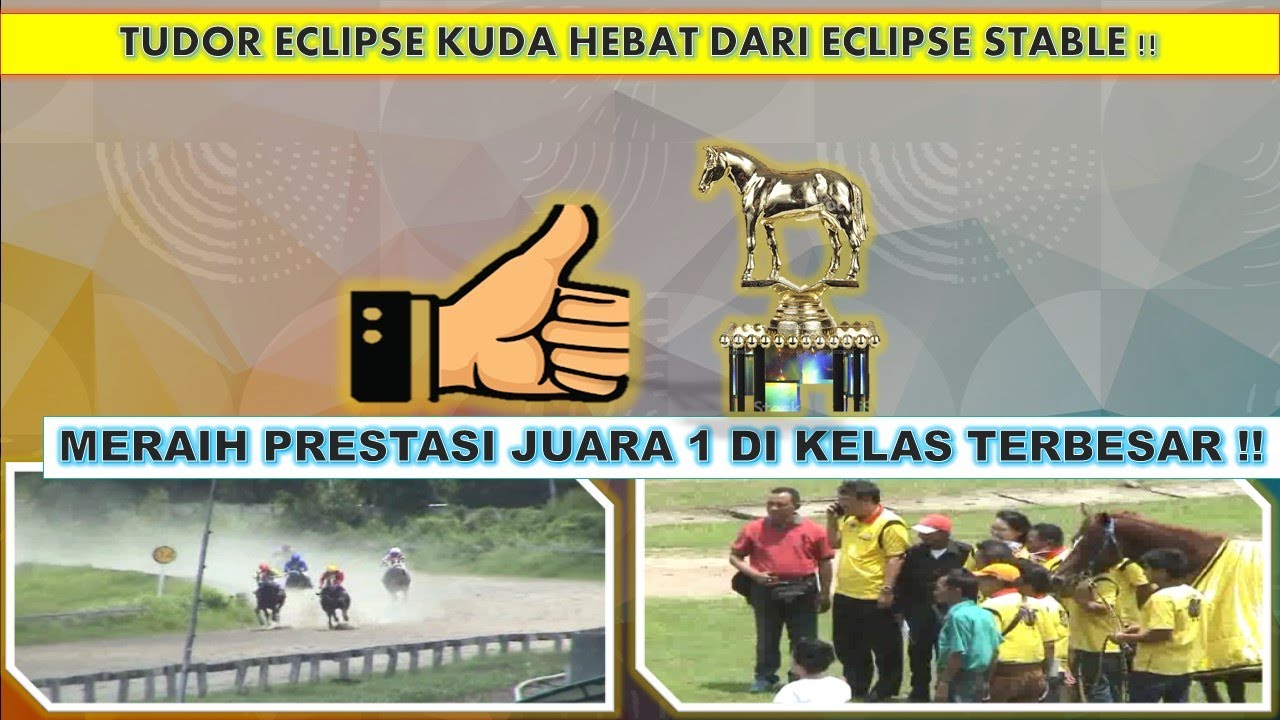 TUDOR ECLIPSE KUDA HEBAT DARI ECLIPSE STABLE !! || MERAIH PRESTASI ...