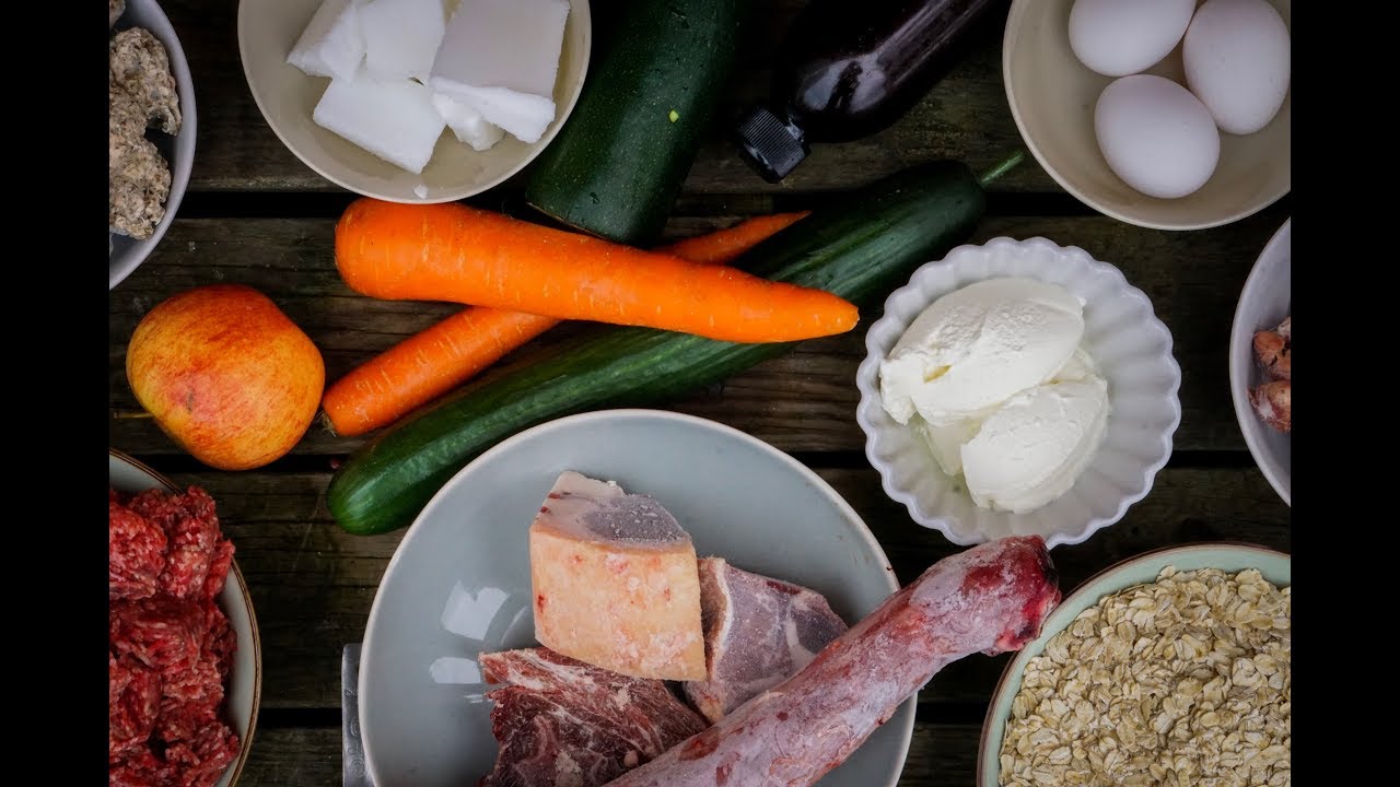 What my dog eats in a day | BARF | Hundefutter - YouTube