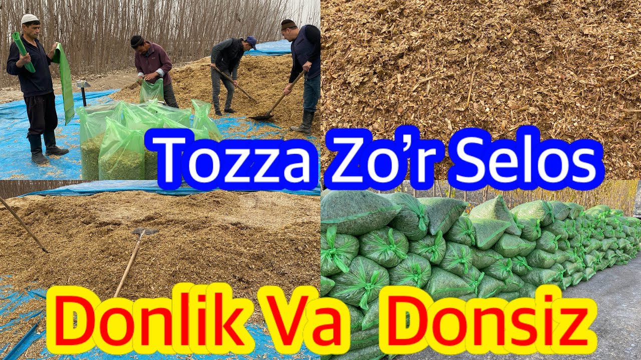 DONLIK VA DONSIZ TOZZA SELOS . Chorvalar uchun Arzon ozuqa. Dastafka ...