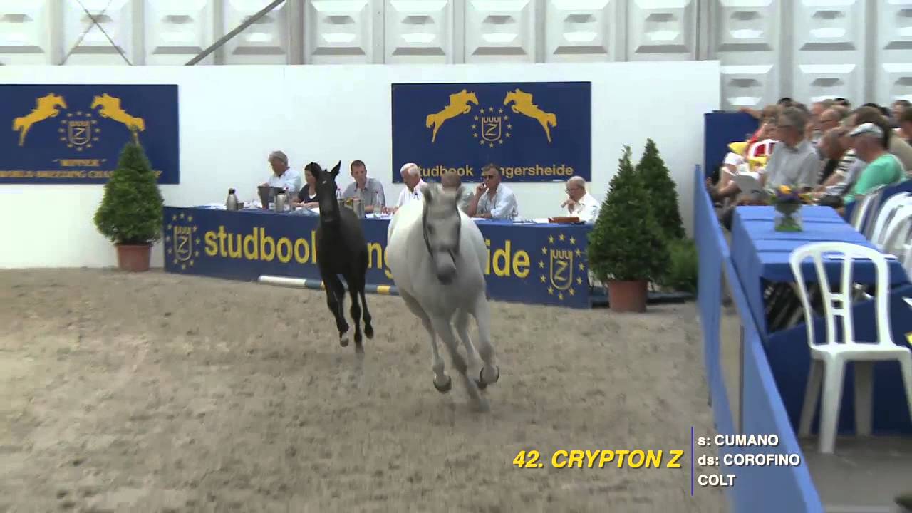 Crypton Z HD 720p - YouTube