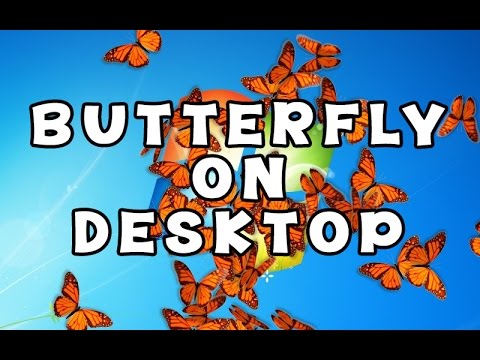 BUTTERFLY ON DESKTOP.EXE - YouTube
