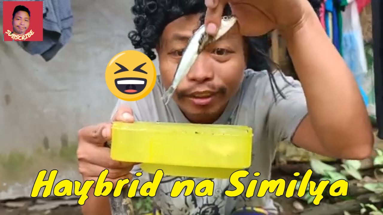 Haybrid na Similya(For Entertainment Only) - YouTube