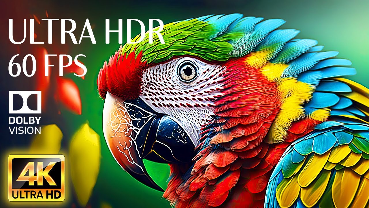 COLORFUL COLLECTION - Soothing Music With Animals Video 4K HDR 60fps ...