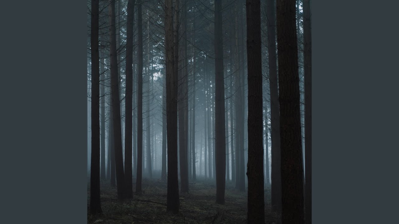 Into the Lost - YouTube