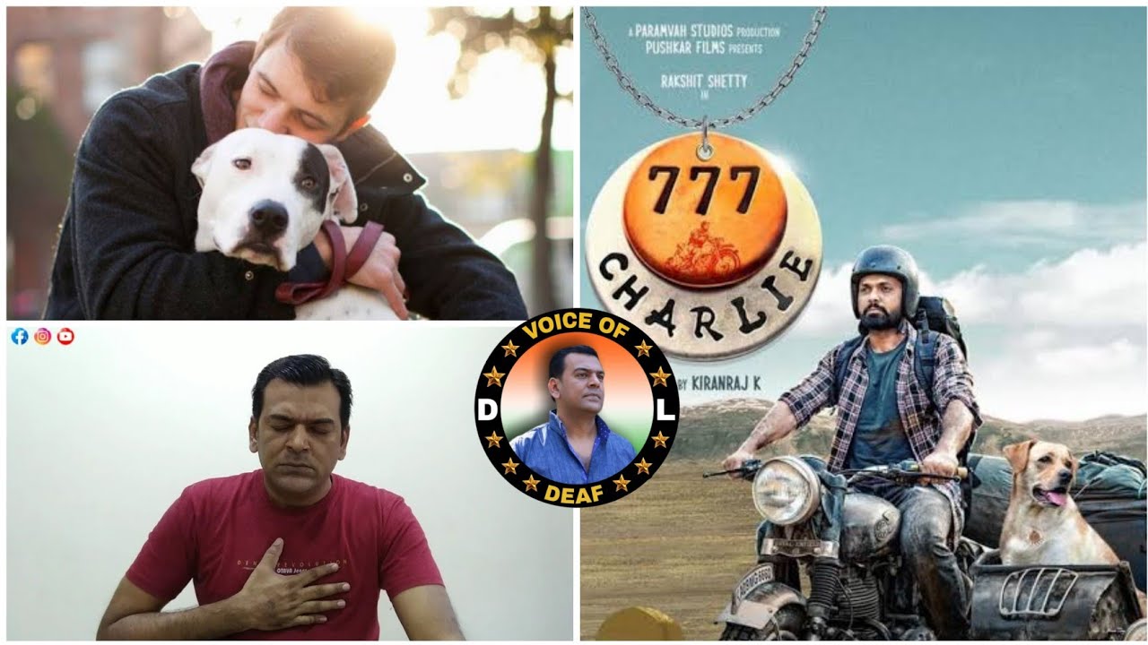 Must watch 777 Charlie. Voot & Amazon prime video.... - YouTube