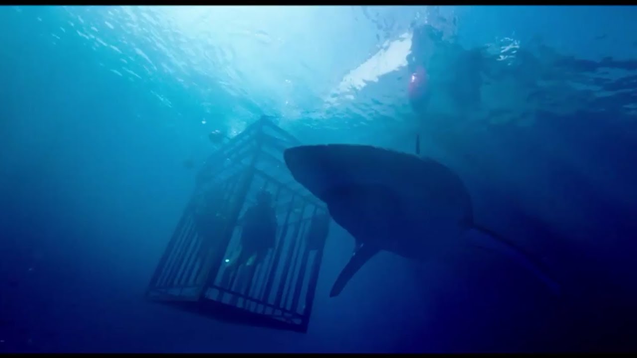 47 METERS DOWN (2017) | Official Trailer - YouTube