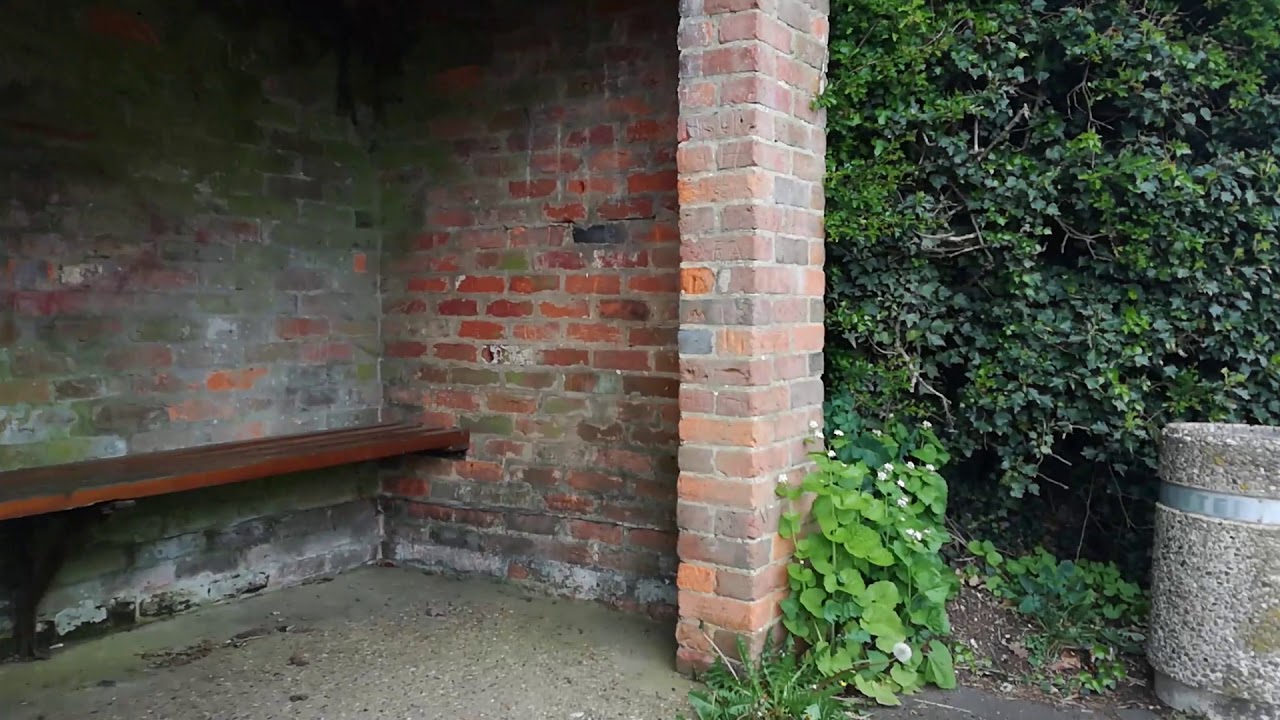 An Overgrown Bus Stop - YouTube