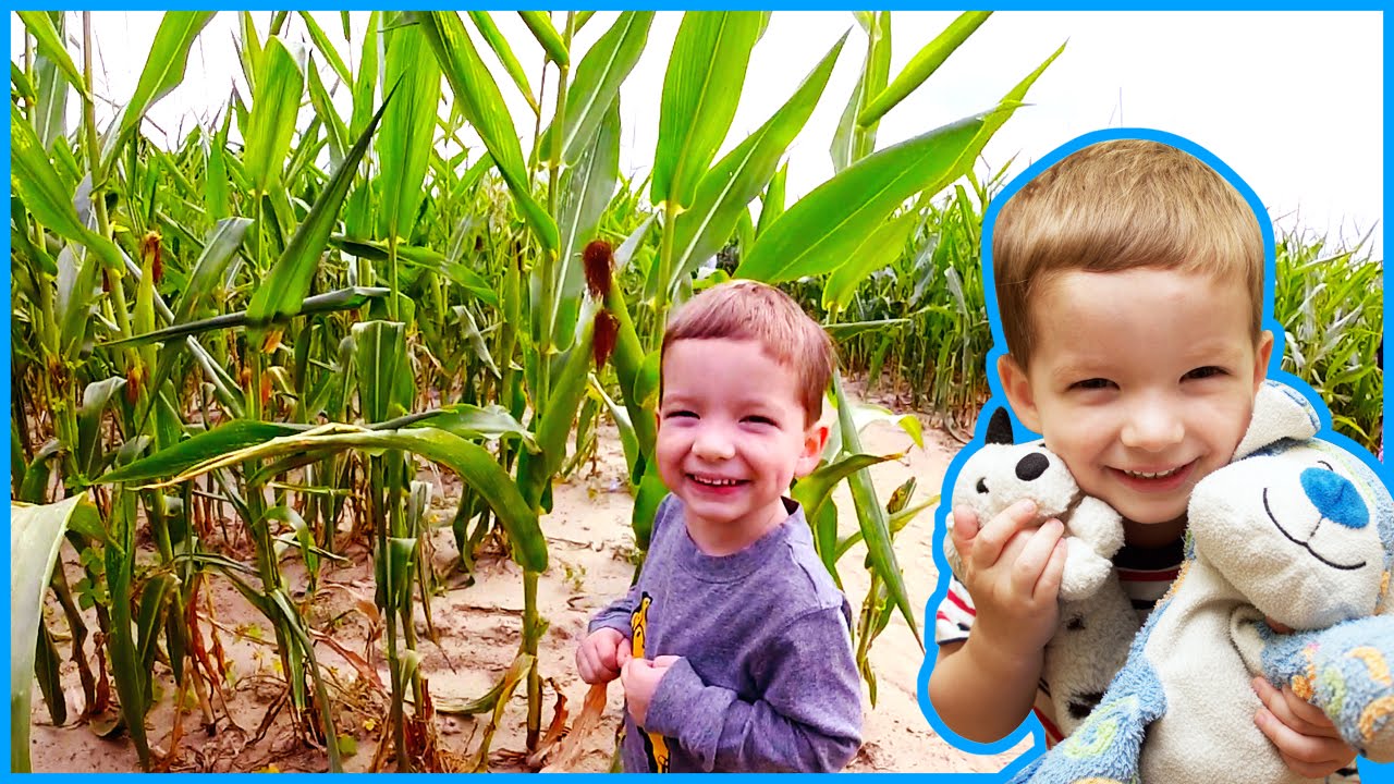 Corn Maze Adventure - Johnson's Farm, Medford, NJ - YouTube