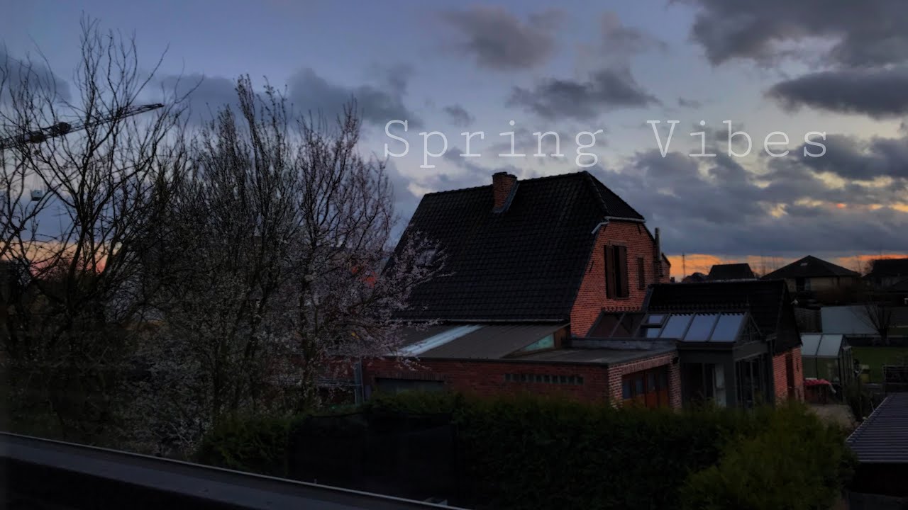 DD Spring Vibes - YouTube