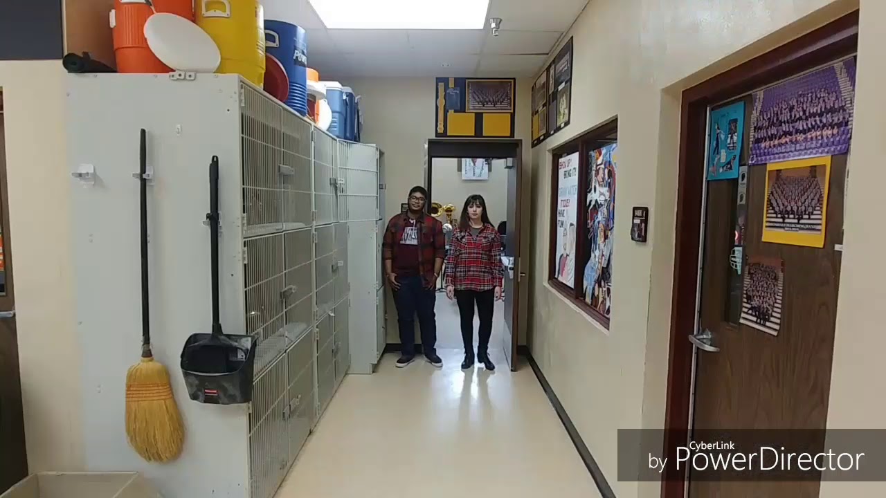 Anatomy Muscle Movement Project - YouTube