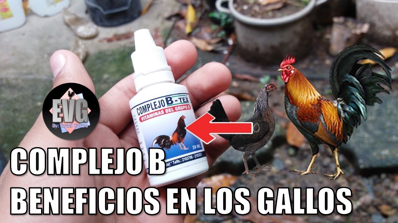 COMO USAR LA VITAMINA B12 5500 Y CONQUE LA COMPLEMENTO EN, 59% OFF