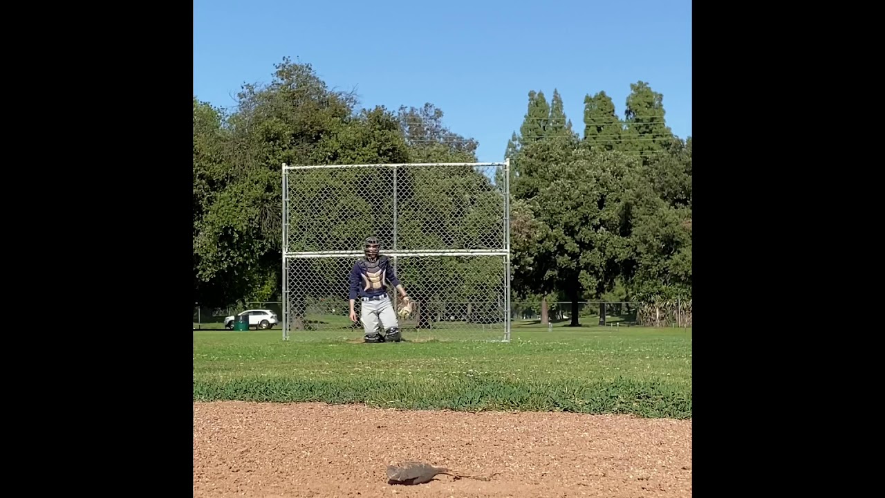 Troy Harding- Catching, hand eye coordination, and blocking - YouTube