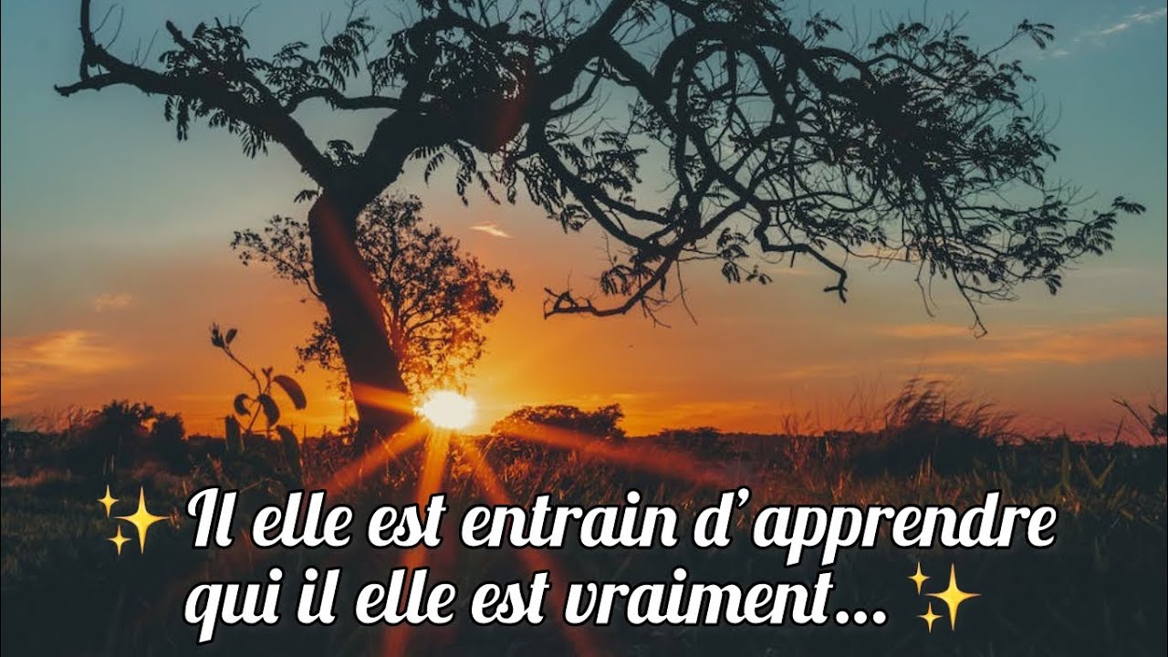 Il elle est entrain d’apprendre qui il elle est vraiment… 🤍 Paix et ...