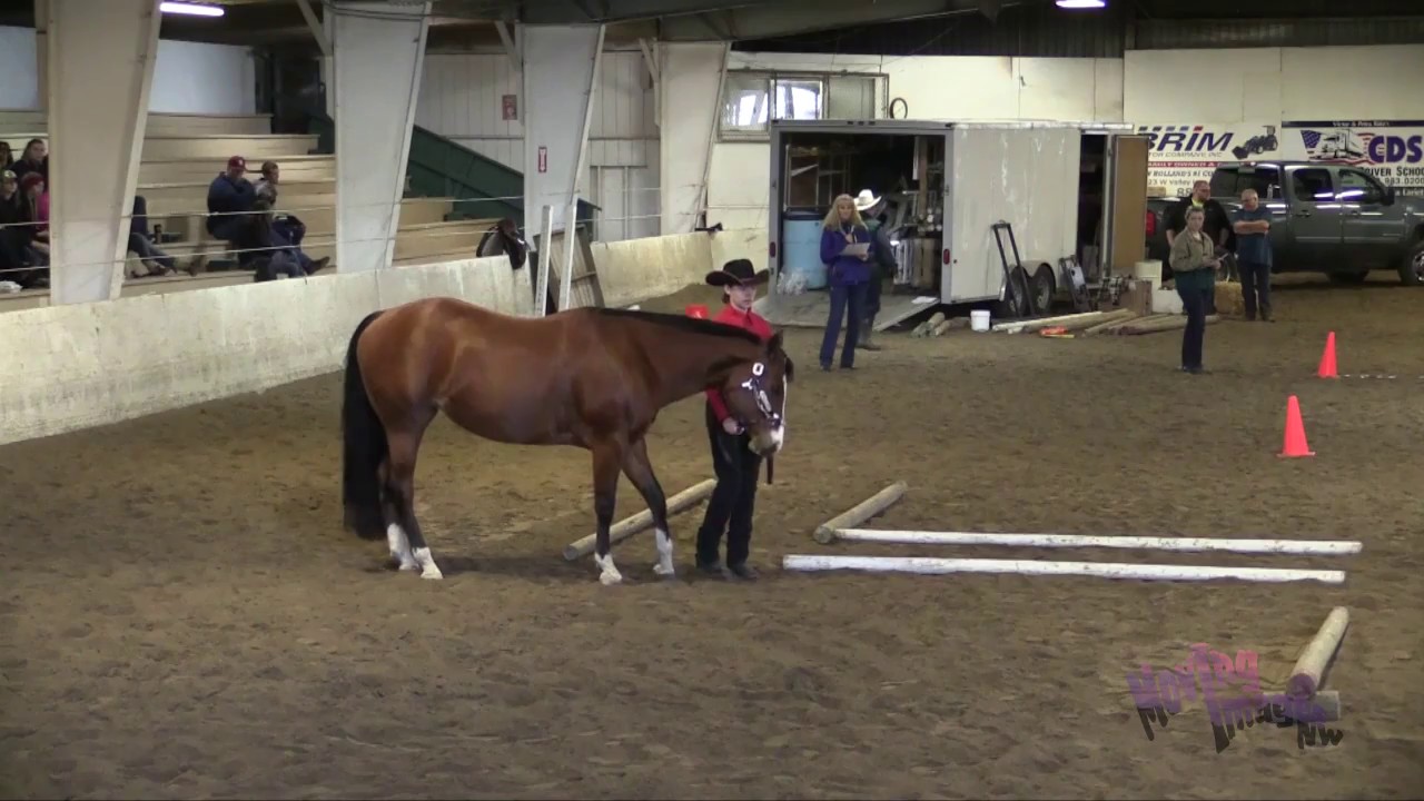 In Hand Obstacle Relay; 2017 WAHSET Pattern - YouTube