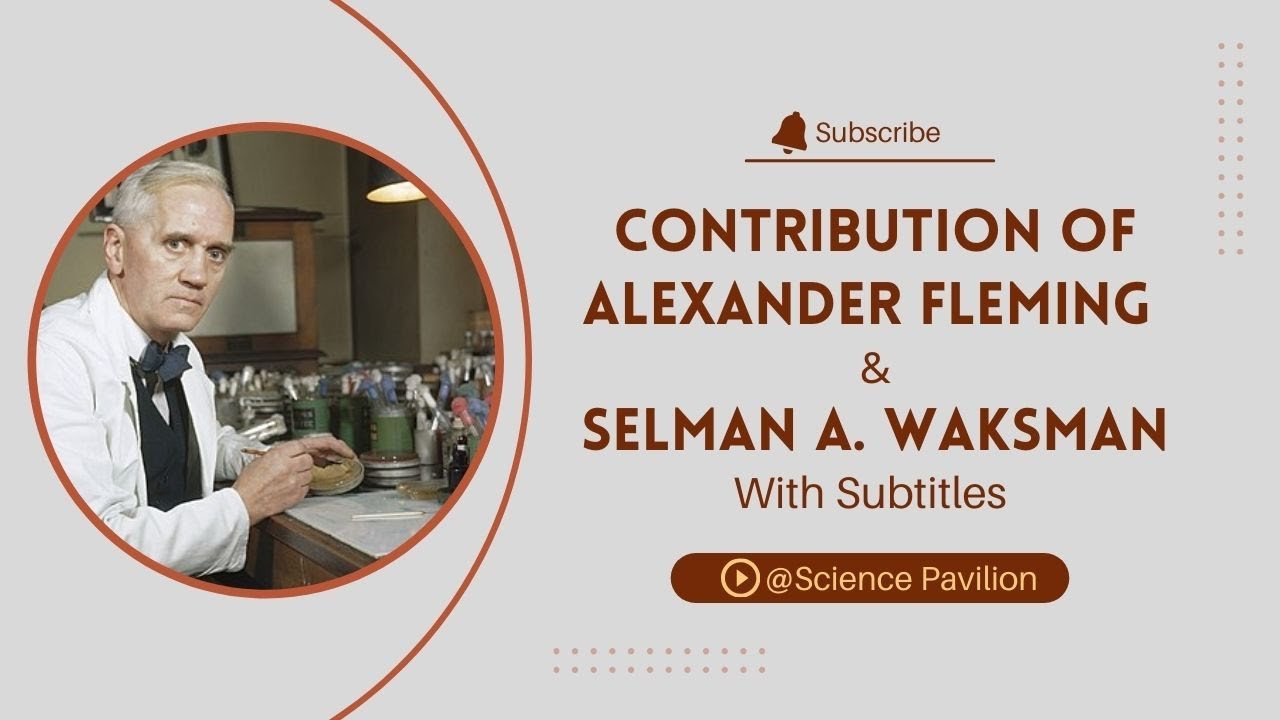 Groundbreaking Discoveries in Antibiotics: Alexander Fleming and Selman ...