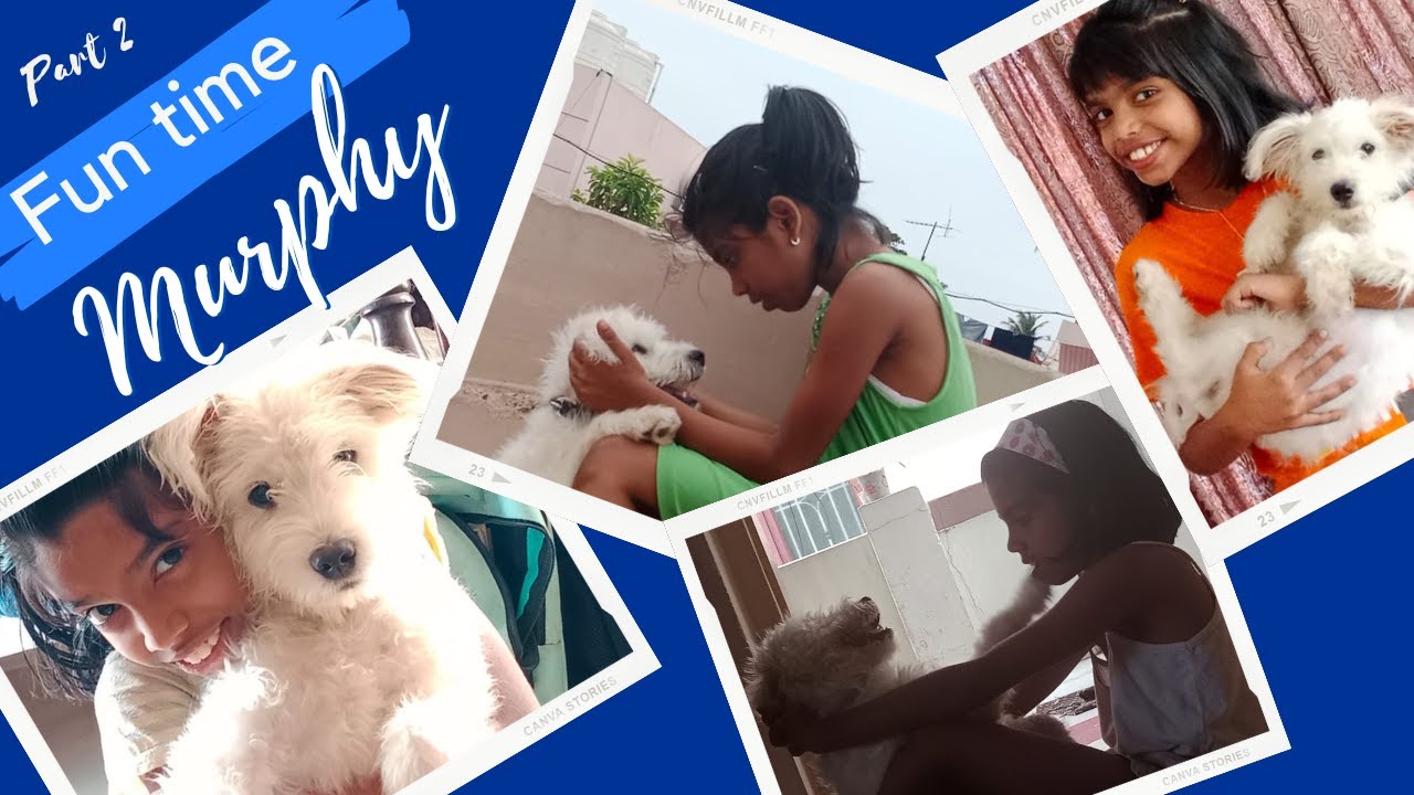 Murphy Fun time - YouTube