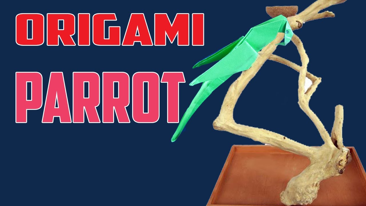 Origami Parrot How to make Origami 3D Parrot Best Origami Parrot ...