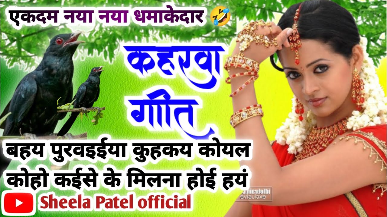 कहरवा नाच गीत #kaharwa Nach geet#Sheela Patel official 😜🌺||#video - YouTube