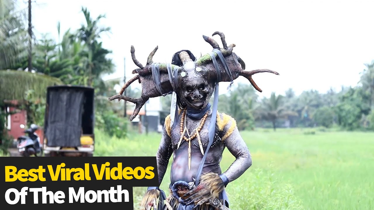 Top 20 Best Viral Videos Of The Month - August 2021 - YouTube