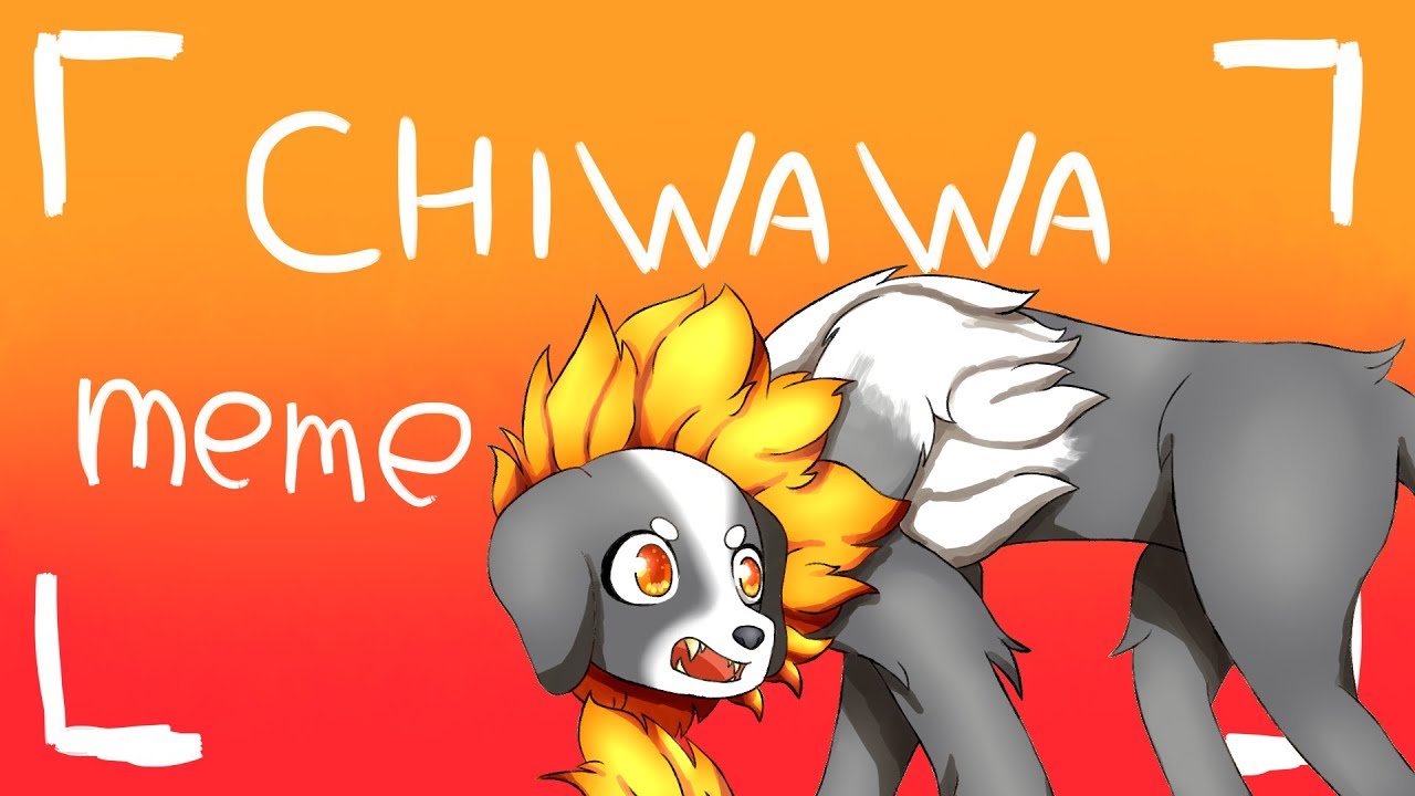 Chiwawa [ANIMATION MEME] - YouTube