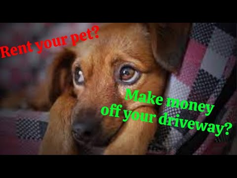 2023|Best easy money making schemes - YouTube