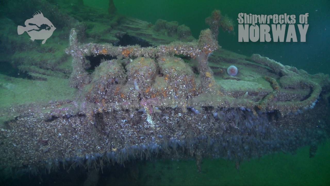 Highlights of Norway Diving - YouTube