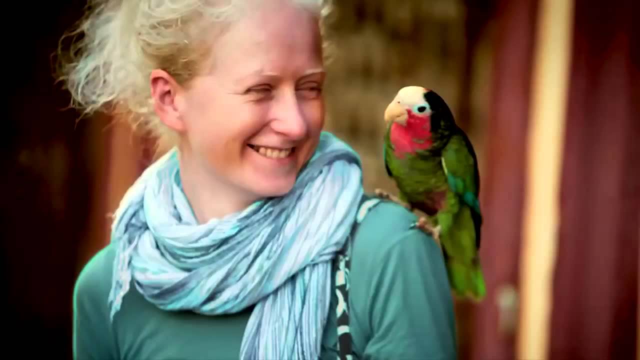 Leonid Agutin - Habana Official - YouTube