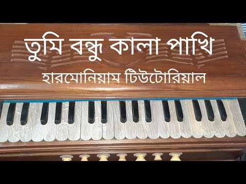 তুমি বন্ধু কালা পাখি || Tumi Bondhu Kala Pakhi||Harmonium Tutorial ...