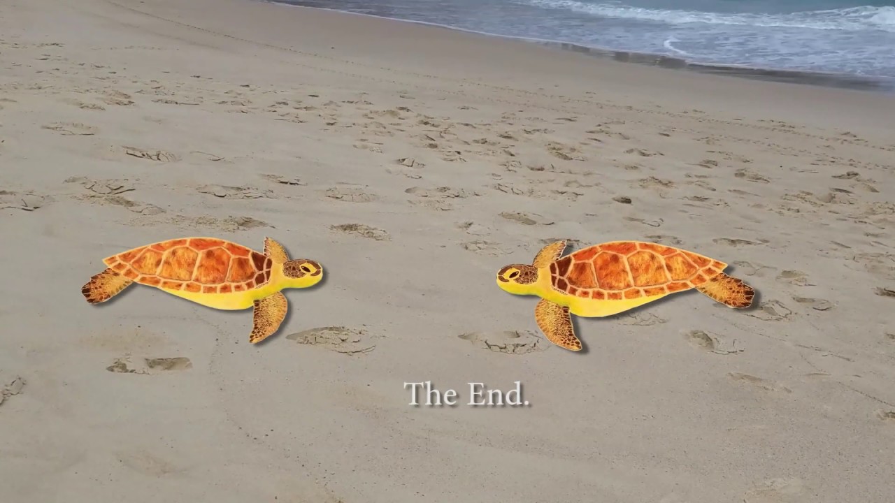 Lobo the Turtle animation film by xiao chen yuan zheng - YouTube