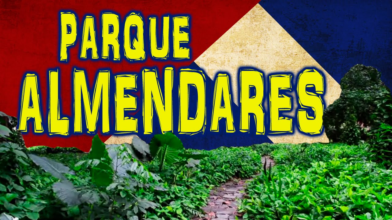 Parque Almendares de la Habana. Central Park in Havana. Cuba - YouTube