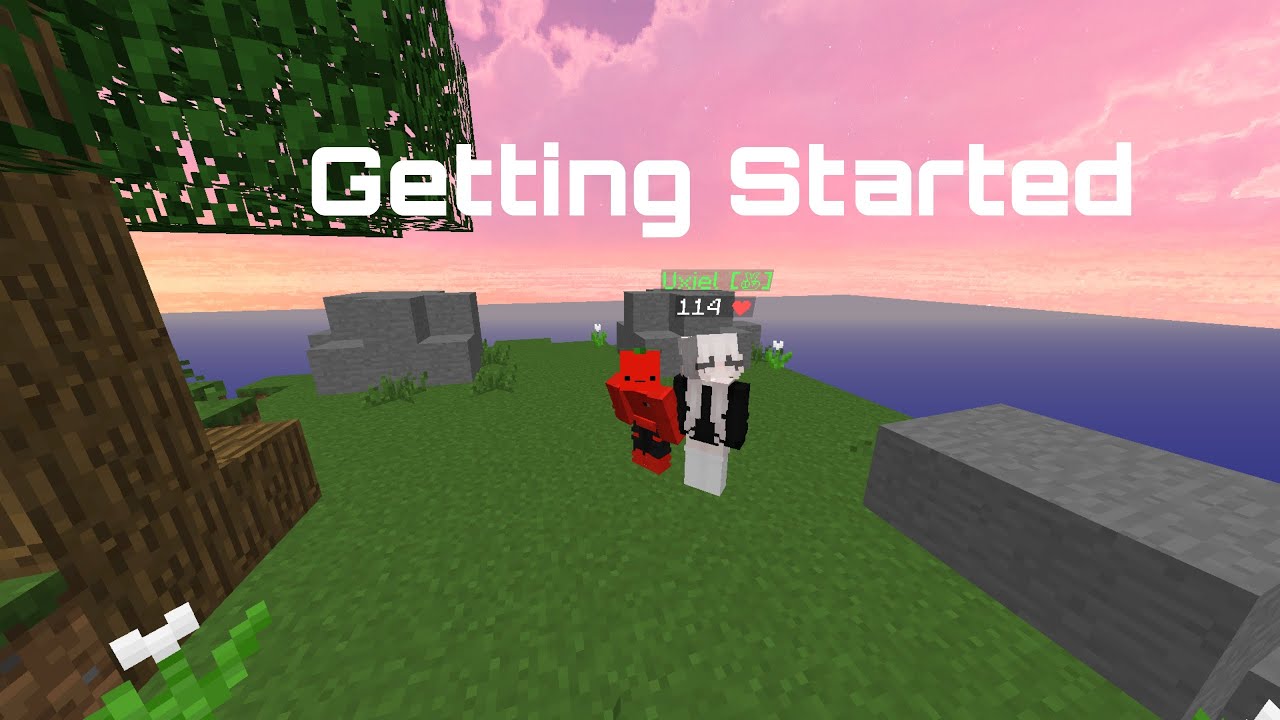 Hypixel Skyblock(Getting started) - YouTube