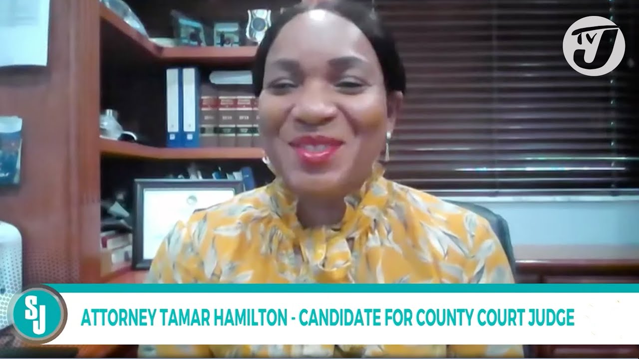 Attorney Tamar Hamilton - Candidate for County Court Judge | TVJ Smile ...