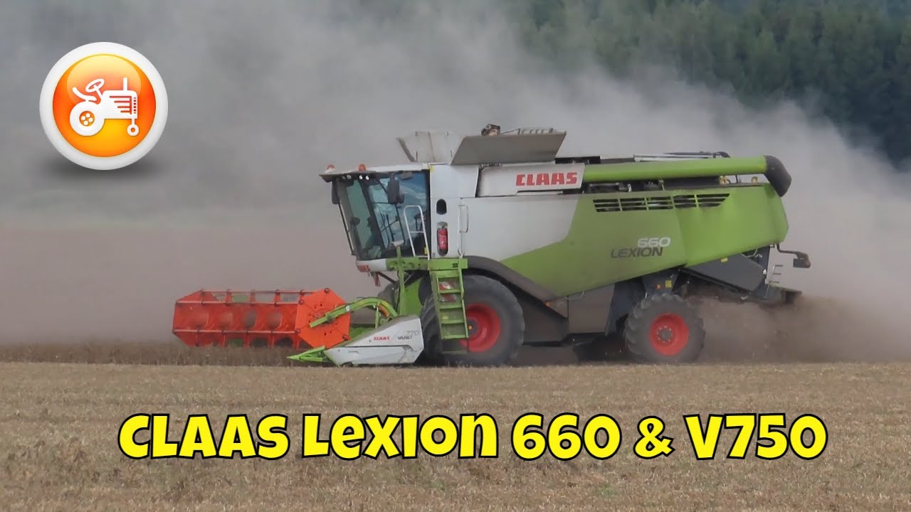 Harvest 2023 | Claas Lexion 660 combine with V750 header - YouTube
