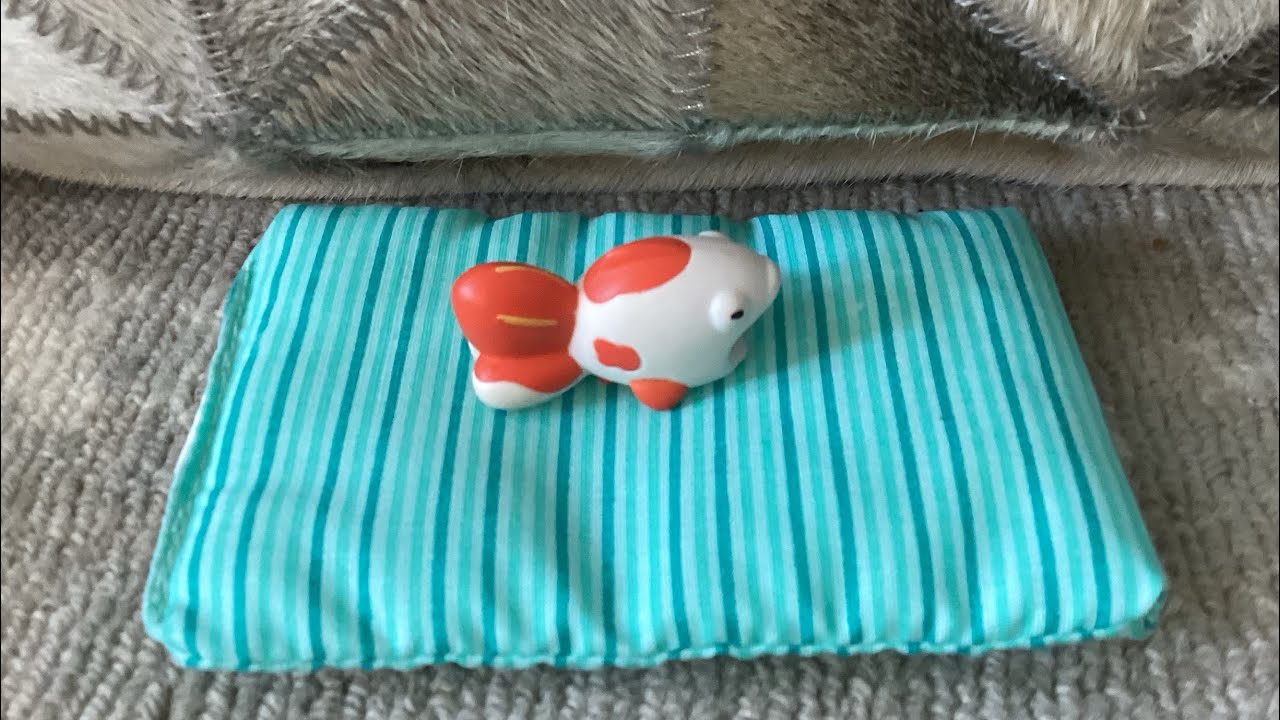 Interview with magic carp - YouTube