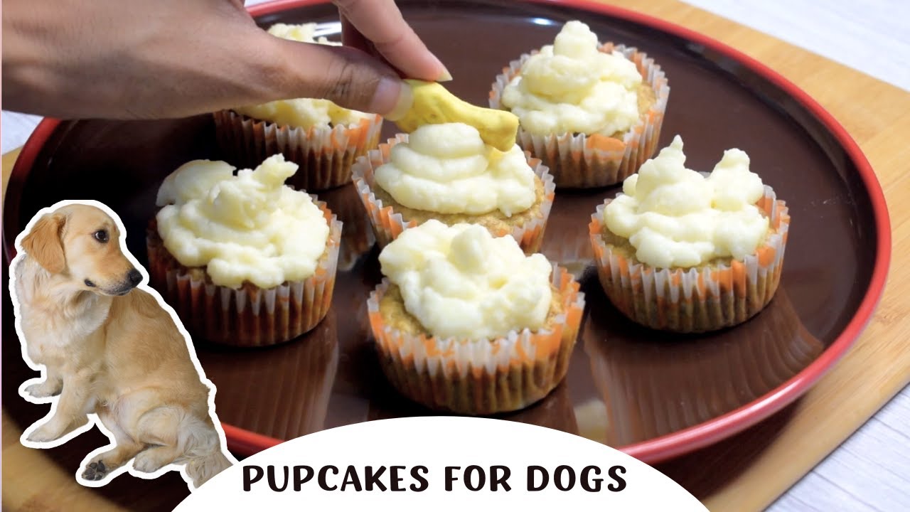 Pupcakes For Dogs 🐶 | Homemade Dog Cupcakes | Pupcakes Recipe | Barkhas ...