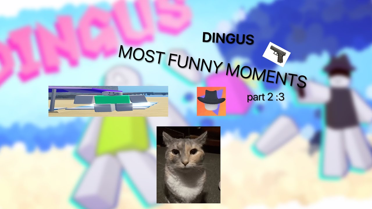 Dingus MOST funny moments PART 2 - YouTube