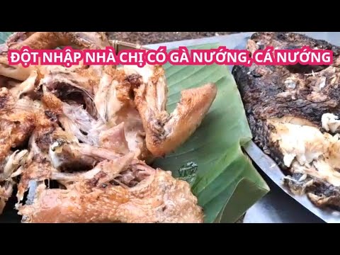 Đột nhập nhà chị có gà nướng, cá nướng ăn@ViThanhQuêTôi