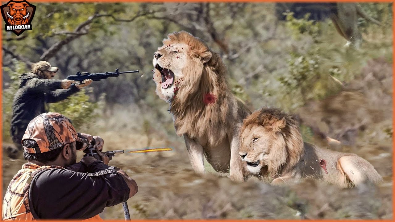 Shock! How Australian Hunting Skilled Hunters Took Down Thousands Of ...