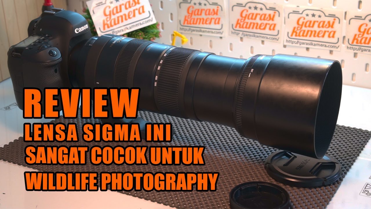 Review Lensa Sigma 150-500mm APO DG OS HSM Untuk Kamera Canon - YouTube