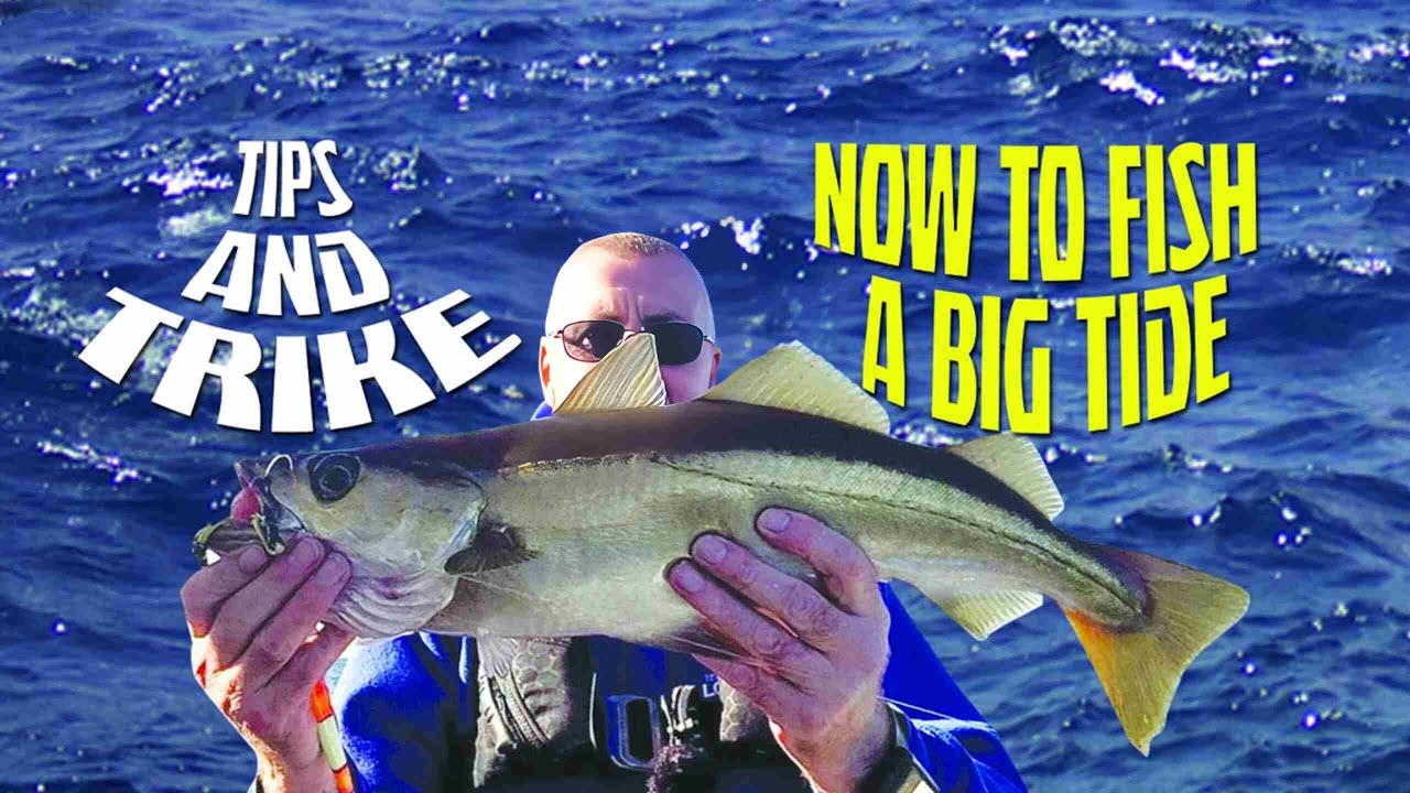 Easy Guide to Tide Fishing - Catch more fish with these tips - Top tips ...