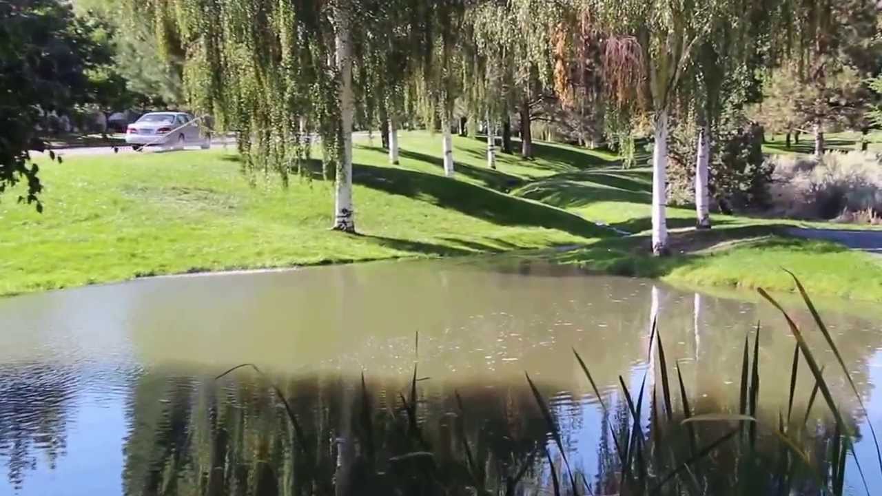 Caughlin Crossing Walking Paths in Reno, NV - YouTube