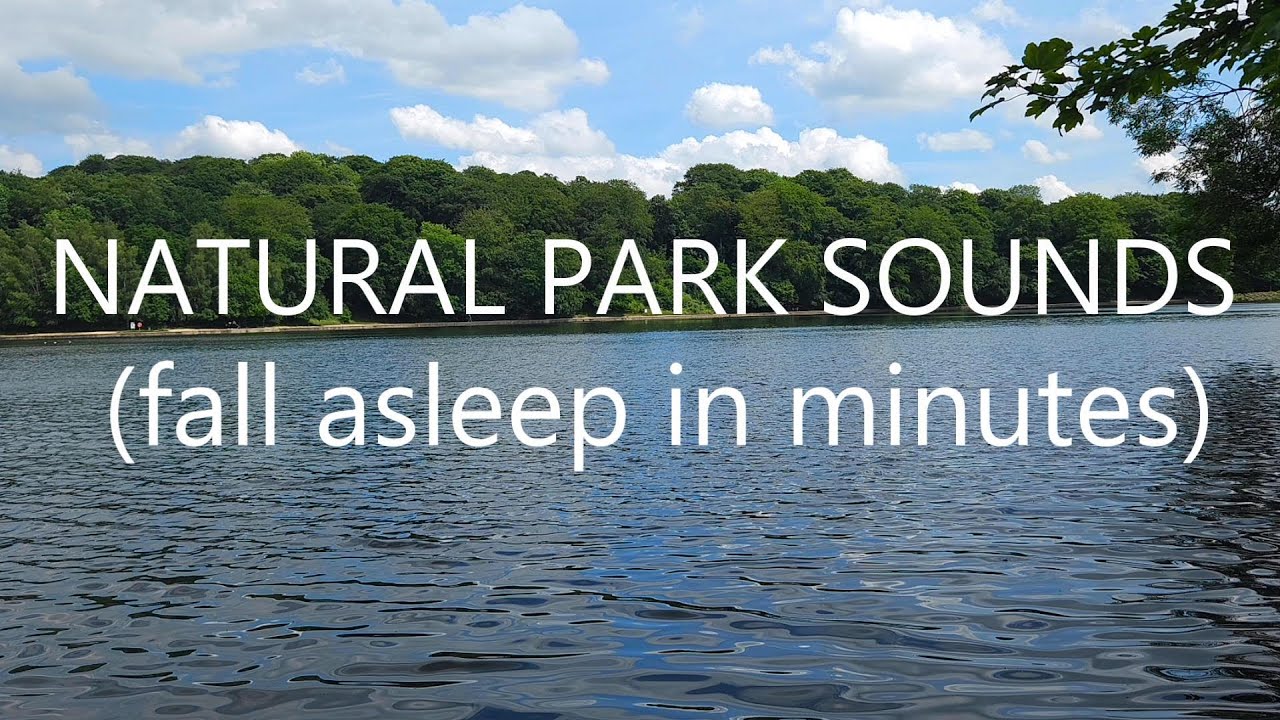 The Most Relaxing Park View - Natural Park Sounds for Sleep and ...