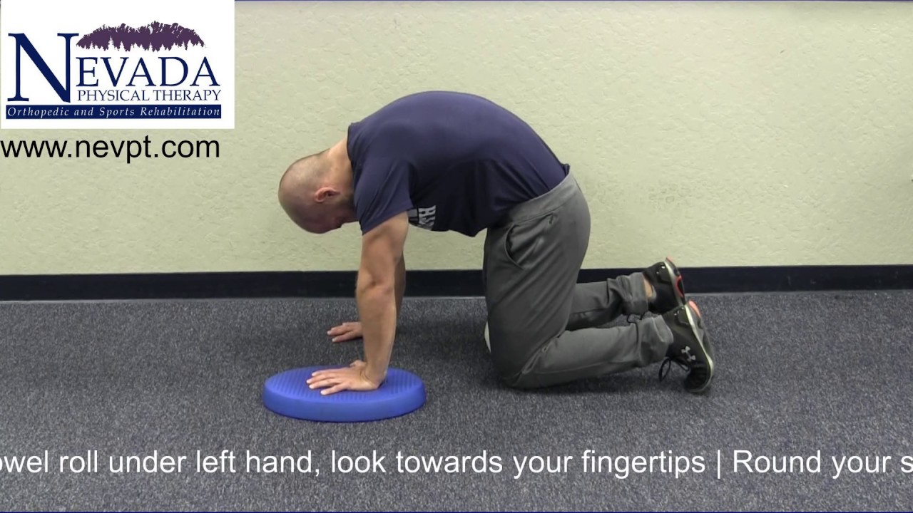 Quadruped Left Posterior Mediastinum Expansion w Left Trunk Rotation ...